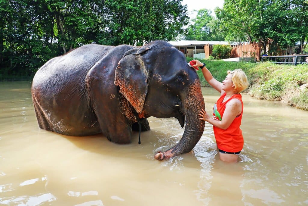 Special Half-Day Elephant Care - Elephant Wildlife Sanctuary Phuket