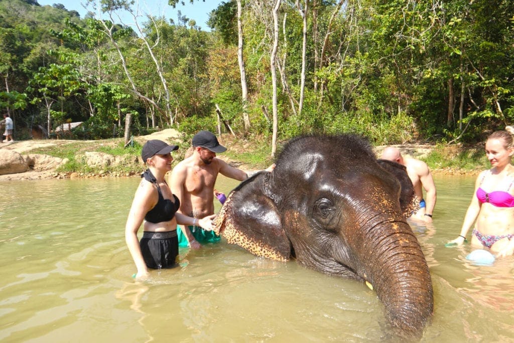 Feeding & Bathing Program 1 hour - Feed & Bath our elephants