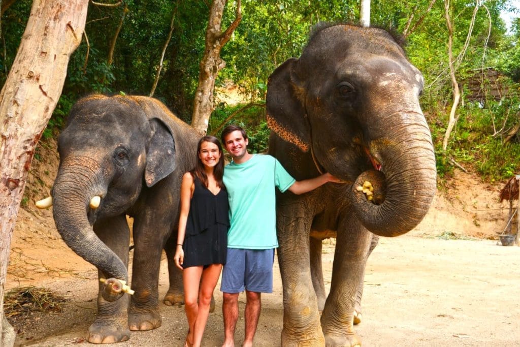 Honeymoon Elephant Care Program | Elephant Wildlife Sanctuary Phuket