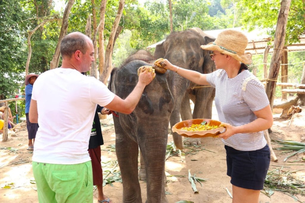 Private VIP Elephant Care Program | Elephant Wildlife Sanctuary Phuket